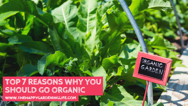 Top 7 Reasons Why You Should Go Organic – The Happy Gardening Life