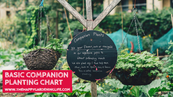 Basic Companion Planting Chart – The Happy Gardening Life