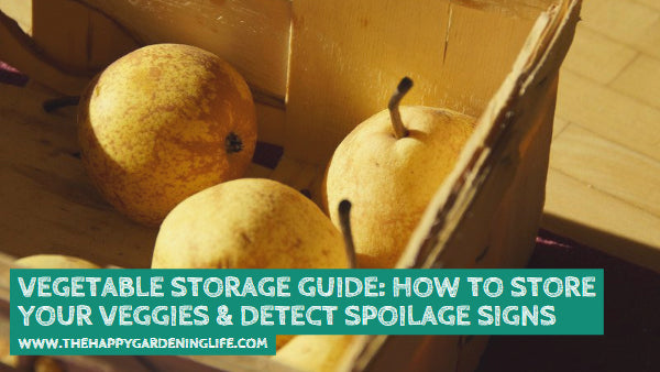 Vegetable Storage Guide: How to Store Your Veggies & Detect Spoilage S ...