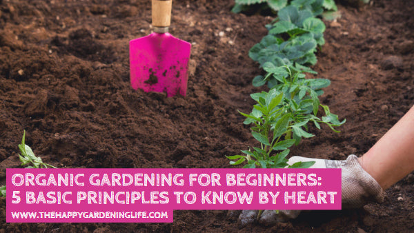 Organic Gardening for Beginners: 5 Basic Principles to Know by Heart ...