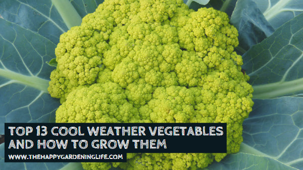 Top 13 Cool Weather Vegetables and How to Grow Them – The Happy ...