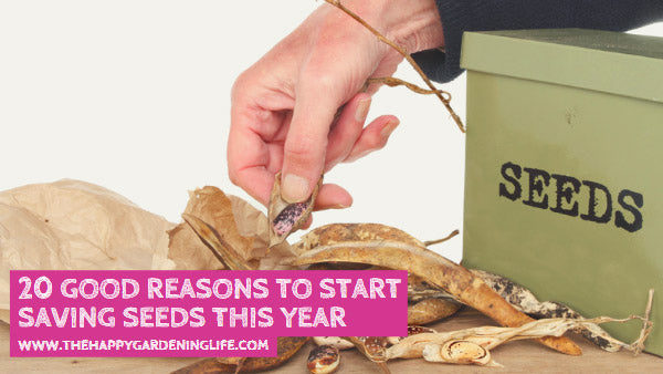 20 Good Reasons to Start Saving Seeds This Year – The Happy Gardening Life
