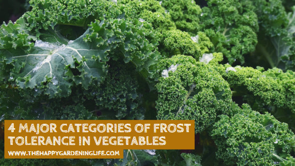 4 Major Categories of Frost Tolerance in Vegetables – The Happy ...