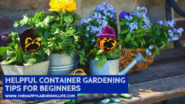 Helpful Container Gardening Tips for Beginners – The Happy Gardening Life