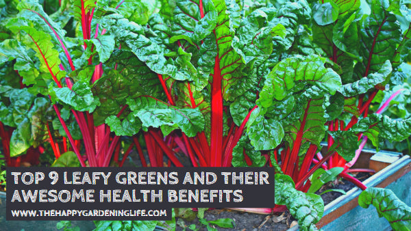 Top 9 Leafy Greens and Their Awesome Health Benefits – The Happy ...