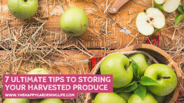7 Ultimate Tips to Storing Your Harvested Produce – The Happy Gardening ...