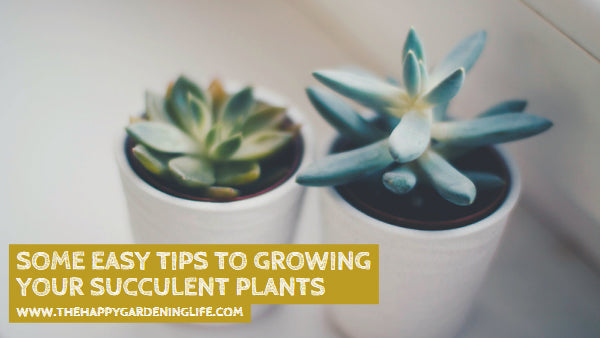 Some Easy Tips to Growing Your Succulent Plants – The Happy Gardening Life