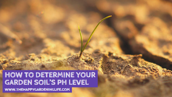 How to Determine Your Garden Soil’s pH Level – The Happy Gardening Life
