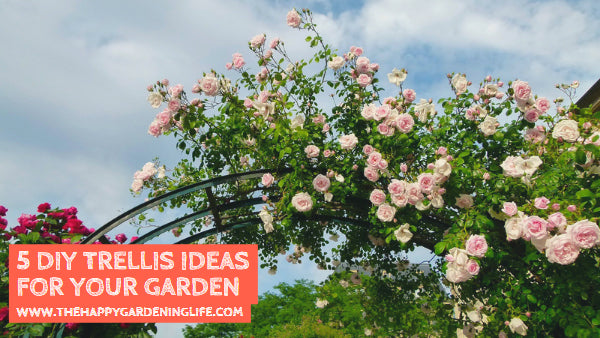 5 DIY Trellis Ideas for Your Garden – The Happy Gardening Life