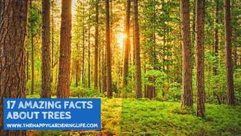 17 Amazing Facts About Trees – The Happy Gardening Life