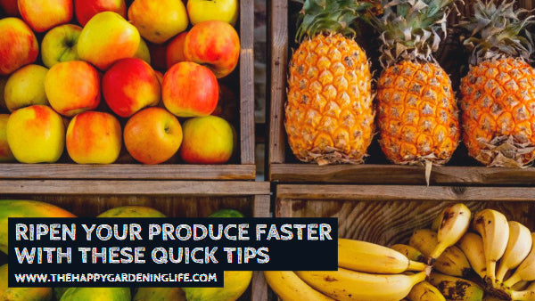 Ripen Your Produce Faster With These Quick Tips – The Happy Gardening Life