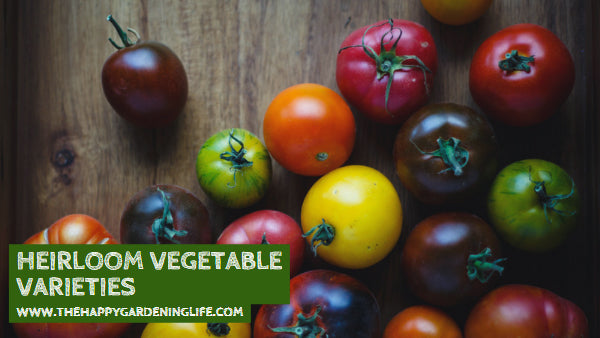 Heirloom Vegetable Varieties – The Happy Gardening Life