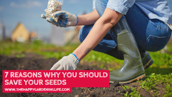 7 Reasons Why You Should Save Your Seeds – The Happy Gardening Life