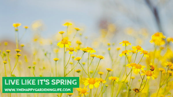 Live Like It's Spring – The Happy Gardening Life