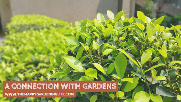 A Connection With Gardens – The Happy Gardening Life