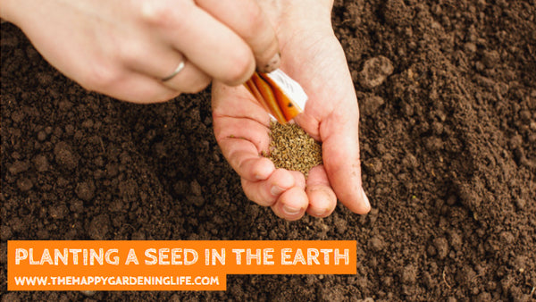 Planting A Seed In The Earth – The Happy Gardening Life