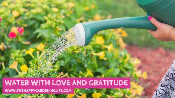 Water With Love And Gratitude – The Happy Gardening Life