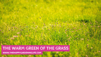 The Warm Green Of The Grass – The Happy Gardening Life