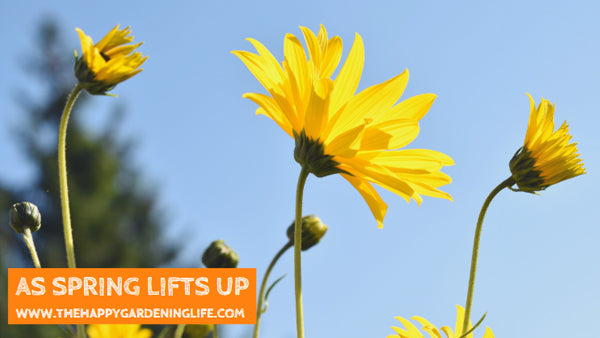 As Spring Lifts Up – The Happy Gardening Life