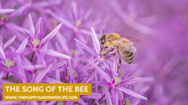 The Song Of The Bee – The Happy Gardening Life