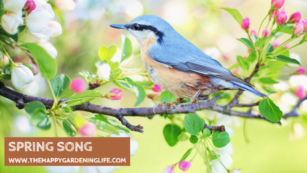 Spring Song – The Happy Gardening Life
