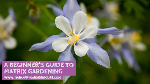 A Beginner’s Guide to Matrix Gardening – The Happy Gardening Life