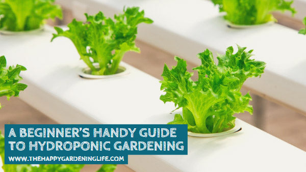 A Beginner’s Handy Guide to Hydroponic Gardening – The Happy Gardening Life
