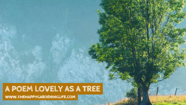 A Poem Lovely As A Tree – The Happy Gardening Life