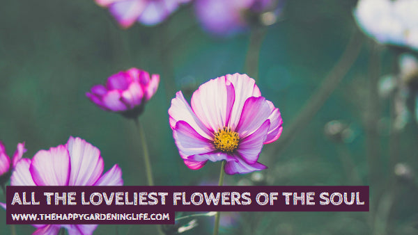 All The Loveliest Flowers Of The Soul – The Happy Gardening Life