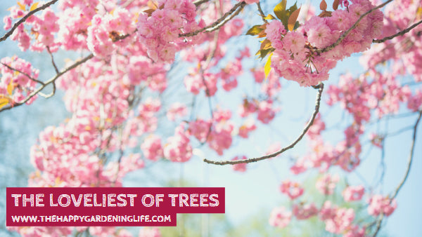 The Loveliest Of Trees – The Happy Gardening Life