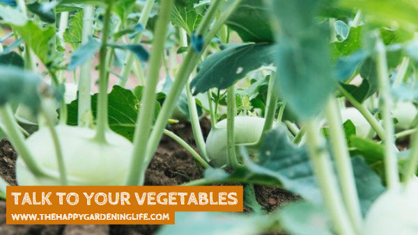 Talk To Your Vegetables – The Happy Gardening Life