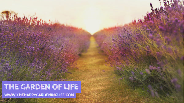 The Garden Of Life – The Happy Gardening Life
