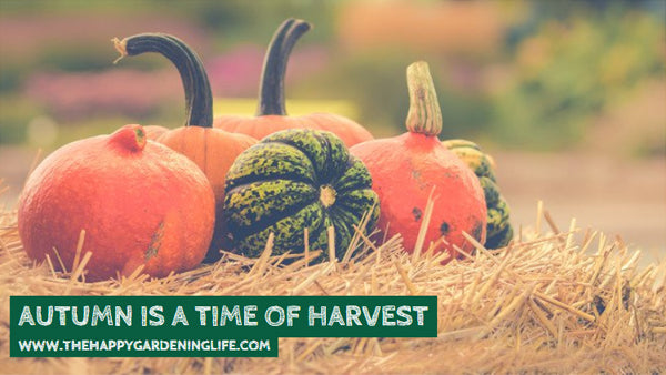 Autumn Is A Time Of Harvest – The Happy Gardening Life