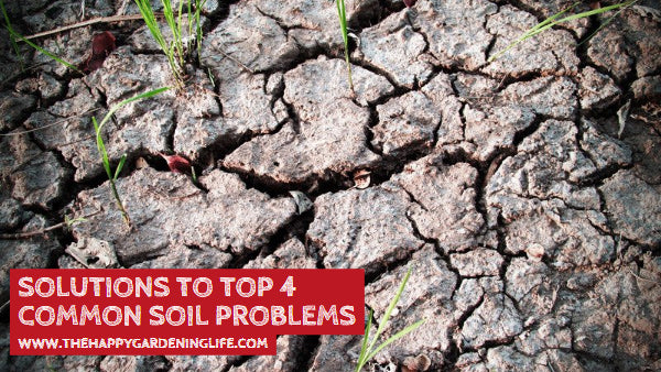 Solutions to Top 4 Common Soil Problems – The Happy Gardening Life