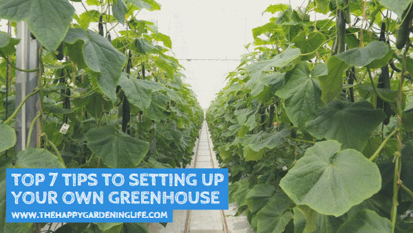 Top 7 Tips to Setting Up Your Own Greenhouse – The Happy Gardening Life